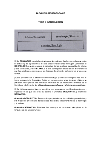 BLOQUE III- MORFOSINTAXIS.pdf