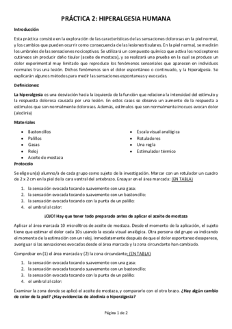 PRACTICA-2.pdf