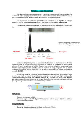 RESUMEN-PRACTICAS-BQ-.pdf