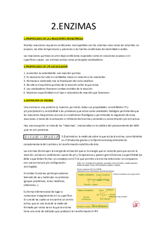 ENZIMAS.pdf