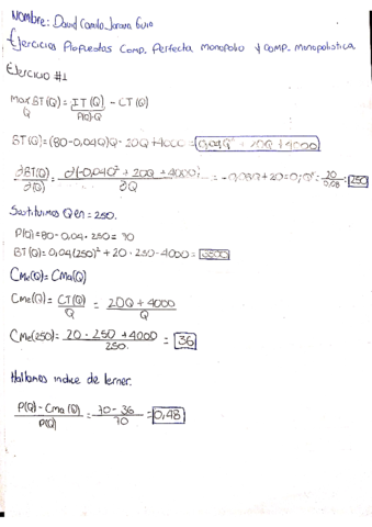 Relacion-ejercicios-Micro.pdf