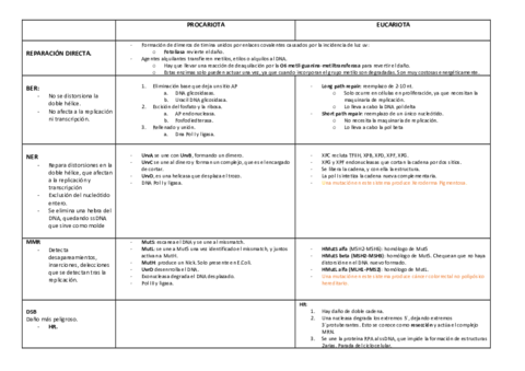 ESQUEMA T5 REPARACIÓN DNA.pdf