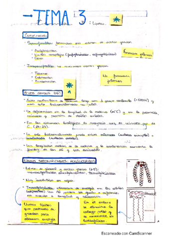 Bio-y-bioquimica-Tema-3-Lipidos.pdf