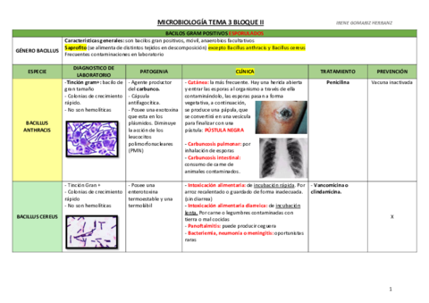 TEMA-3-BLOQUE-2-MICRO-RESUMEN.pdf
