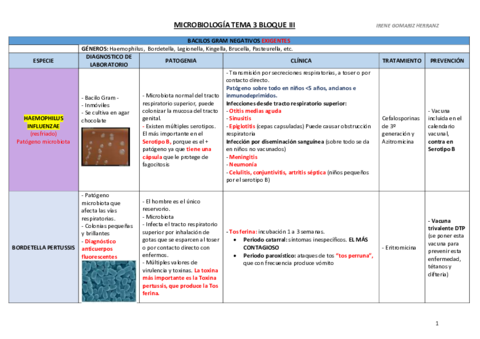 TEMA-3-BLOQUE-3-MICRO-RESUMEN.pdf