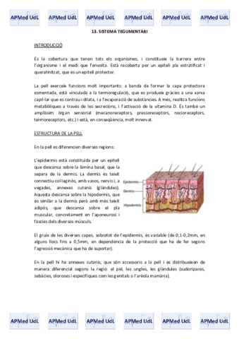 13. Sistema tegumentari.pdf