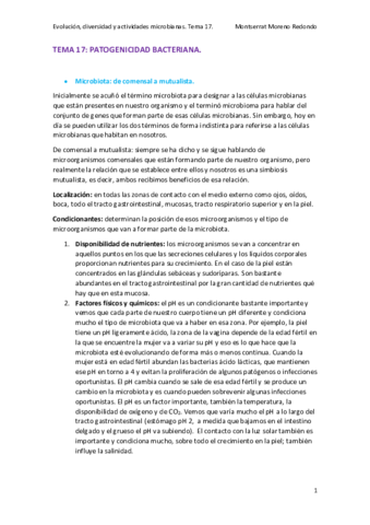 TEMA-17-MICRO-II.pdf