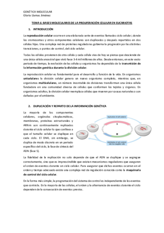 TEMA-6-BASES-MOLECULARES-DE-LA-PROLIFERACION-CELULAR-EN-EUCARIOTAS.pdf