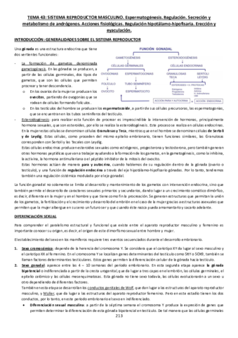 TEMA-43.pdf