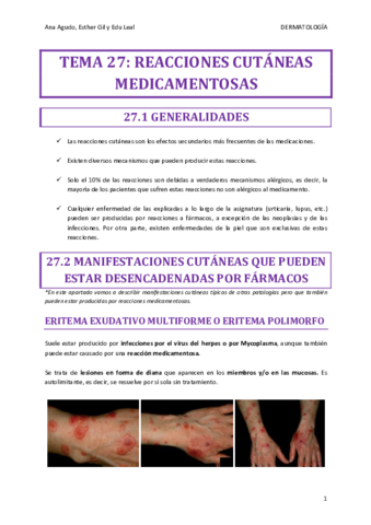 TEMA-27-DERMA.pdf