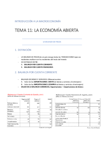 TEMA-11.pdf