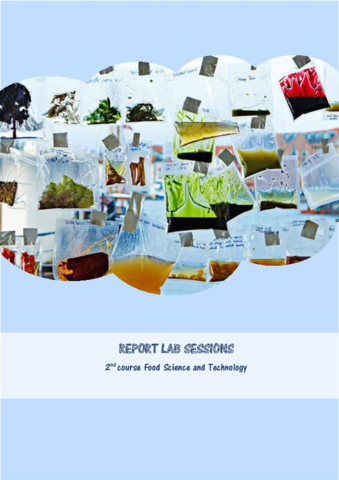 Report-lab-sessions.pdf