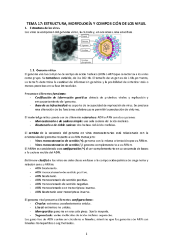 Tema-17-Estructura-morfologia-y-composicion-de-los-virus.pdf