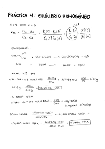 practica-equilibrio-homogeneo.pdf