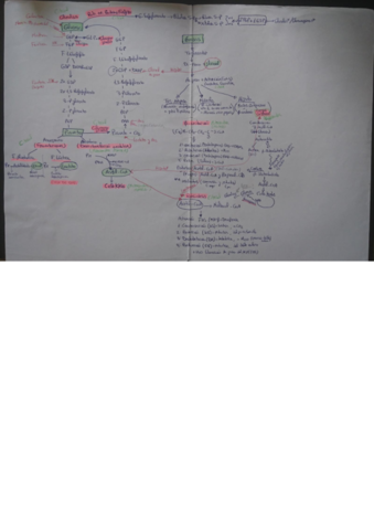 Esquema-general-BQII.pdf