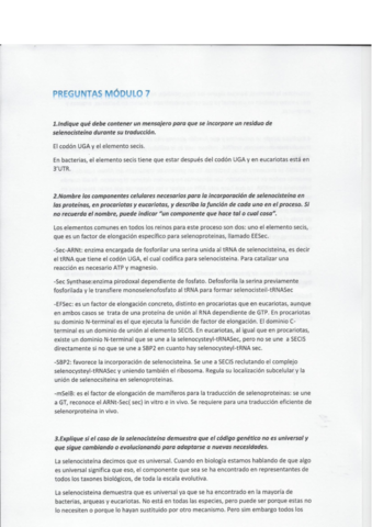 Preguntas-modulo-7.pdf