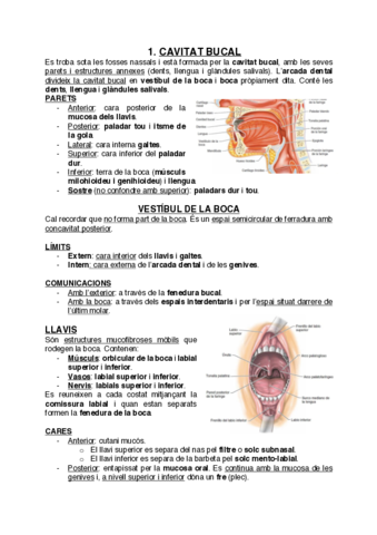 CAVITAT-BUCAL--GLANDULES.pdf