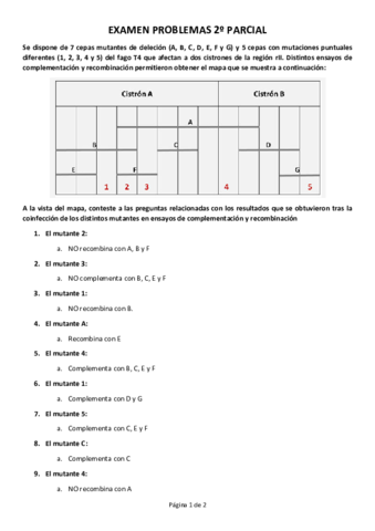 EXAMEN-2oP-PROBLEMAS.pdf