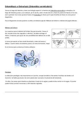 Enterobiasis o Oxiruriasis.pdf