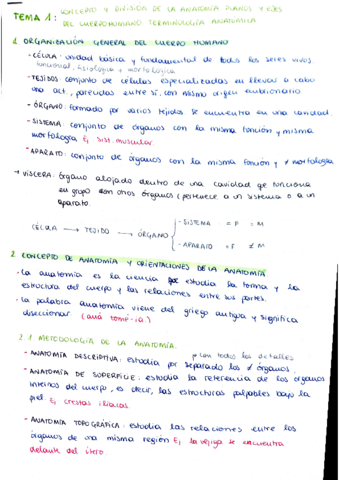 Concepto-y-division-de-la-anatomia.pdf