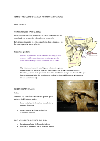 T8-9-ANATOMIA-FUNCIONAL.pdf