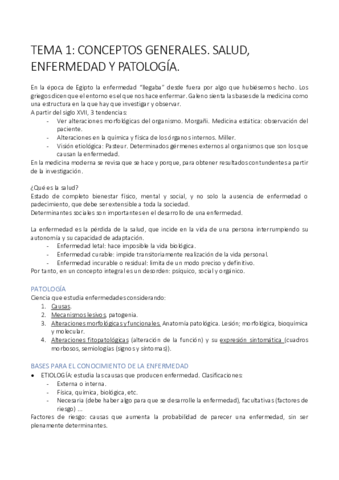 TEMA-1-PMG.pdf