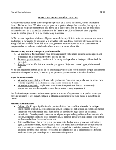 Resumen-tema-5.pdf