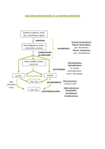 ESQUEMA-DEGRADACION-MATERIA-ORGANICA.pdf