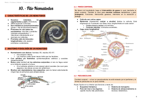 BIOLOGIA-ANIMAL-TEMA-10.pdf