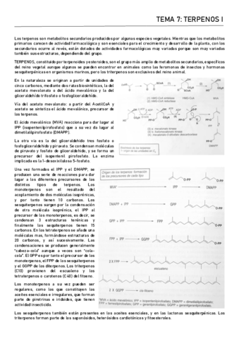 Tema-7.pdf