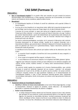 CAS SAM.pdf
