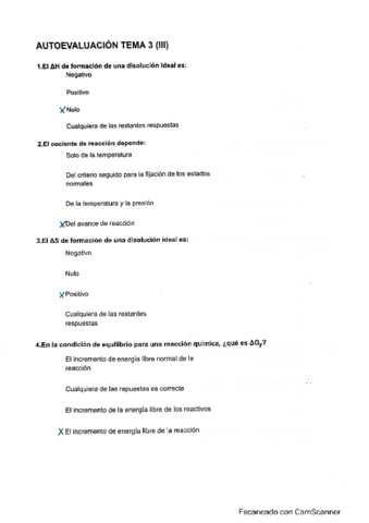 autoevaluacion-t3-3.pdf