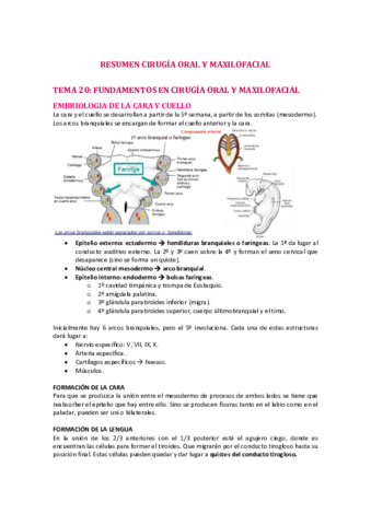 RESUMEN CIRUGÍA ORAL Y MAXILOFACIAL.pdf