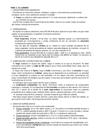 TEMA-4-EL-CARBON.pdf