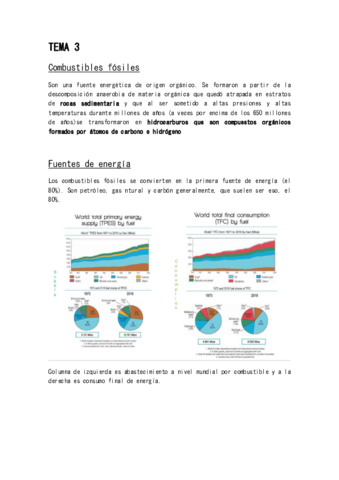 TEMA-3-optimizacion-mio.pdf