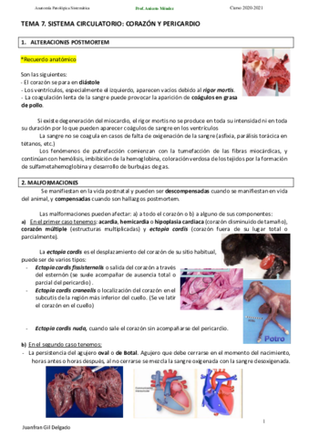 Temas-APS-7-10.pdf