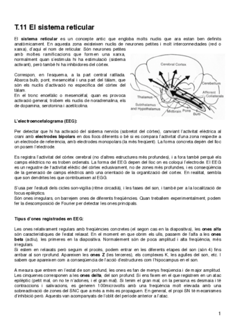 T11-FAII.pdf