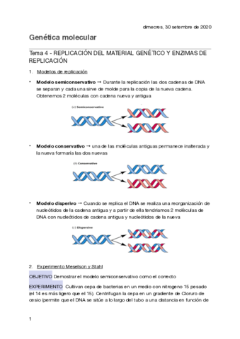 Tema-4-Replicacion-del-material-genetico.pdf