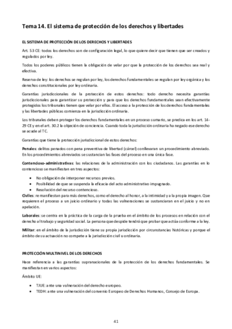 TEMA-14-El-sistema-de-proteccion-de-los-derechos-y-libertades.pdf