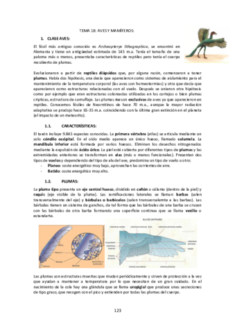 Tema-18-Aves-y-mamiferos.pdf