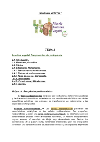 ANATOMIA-VEGETAL-TEMA-2.pdf
