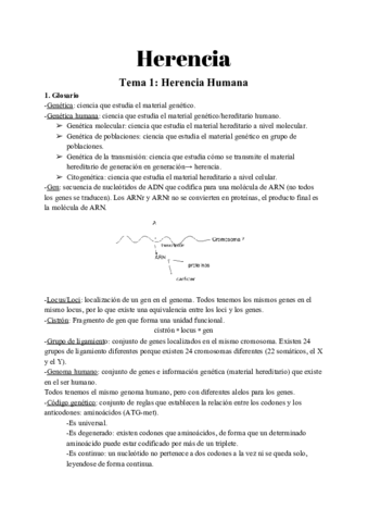 Herencia.pdf