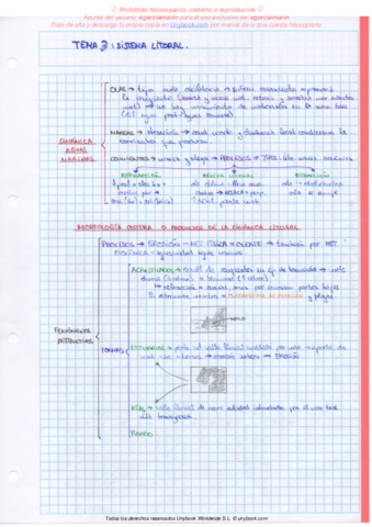 ESQUEMA_TEMA_3_GEOGRAFA_FSICA.pdf