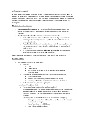 teoria-practicas.pdf