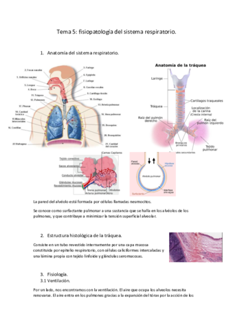 Tema-5-fisiopatologia-del-sistema-respiratorio.pdf