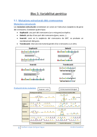 Bloc 5 Variabilitat genètica.pdf