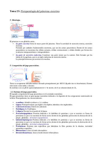 tema-23-fisiopatologia-del-pancreas-exocrino.pdf