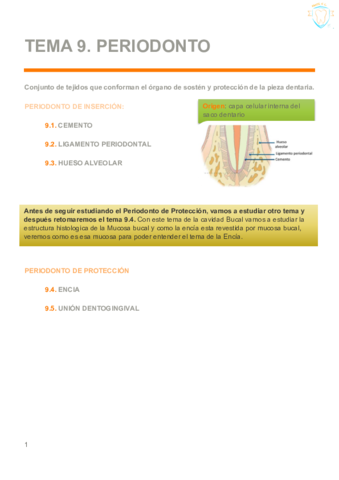TEMA-9-3-HUESO-ALVEOLAR.pdf