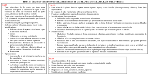 tema-10-esquemas.pdf
