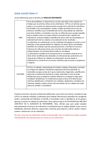 Ideas-claves-tema-17.pdf